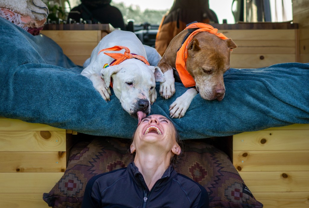 Van Life with Dogs: Tips and Gear for Life on the Road - Dogs and Detours